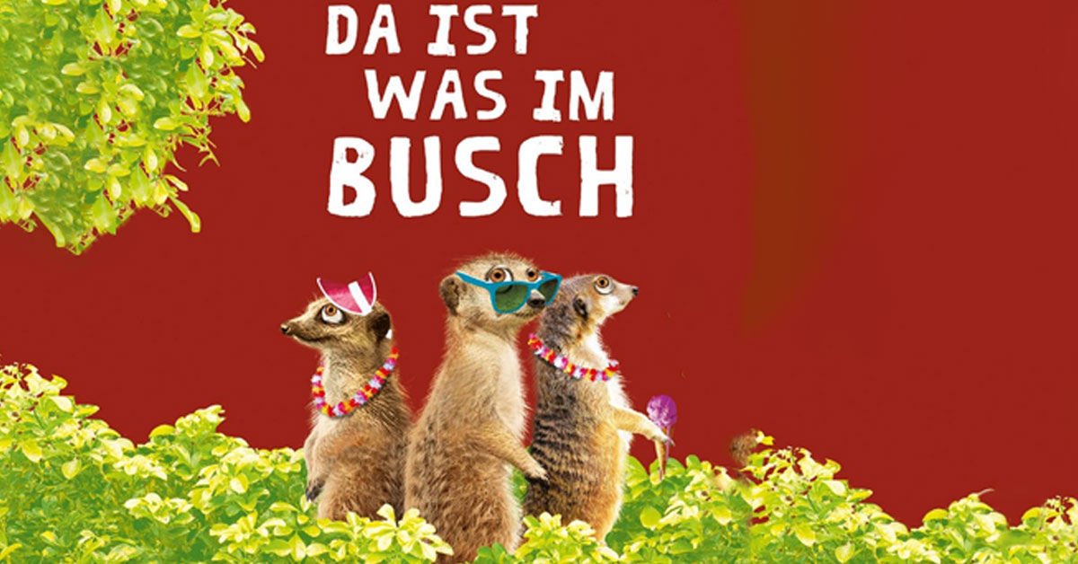Da ist was im Busch / Erdmännchen Ray & Rufus Bd.7 von Moritz Matthies ...