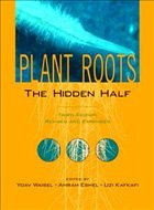 Plant Roots: The Hidden Half von Waisel, Yoav, Amram Eshel and Uzi ...