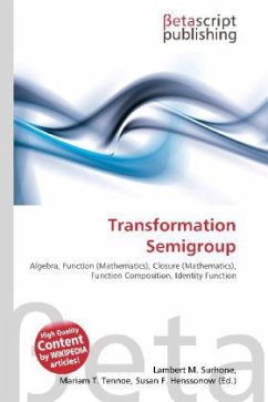 Transformation Semigroup - Fachbuch - bücher.de