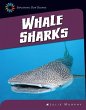 Whale Sharks von Julie Murphy - englisches Buch - bücher.de