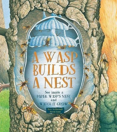 A Wasp Builds a Nest von Kate Scarborough; Martin Camm - englisches ...