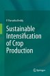 Sustainable Intensification of Crop Production von P. Parvatha Reddy ...