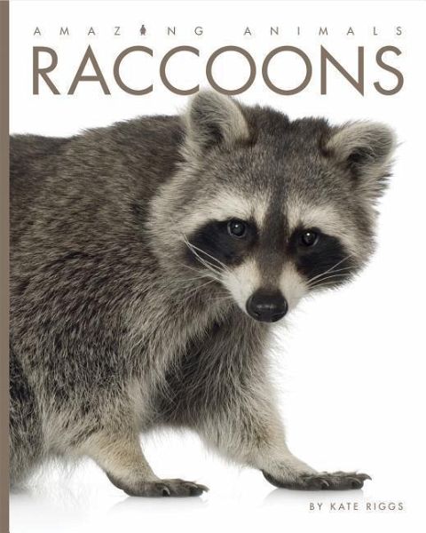 Raccoons von Kate Riggs - englisches Buch - bücher.de
