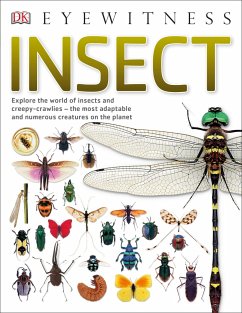 Insect von DK - englisches Buch - bücher.de