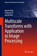 Multiscale Transforms with Application to Image Processing von Aparna ...