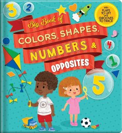 Big Book of Colors, Shapes, Numbers & Opposites: With Flaps to Lift and ...