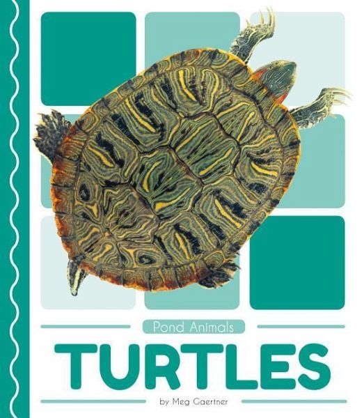 Turtles von Meg Gaertner - englisches Buch - bücher.de
