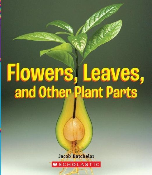 Flowers, Leaves and Other Plant Parts (a True Book: Incredible Plants ...