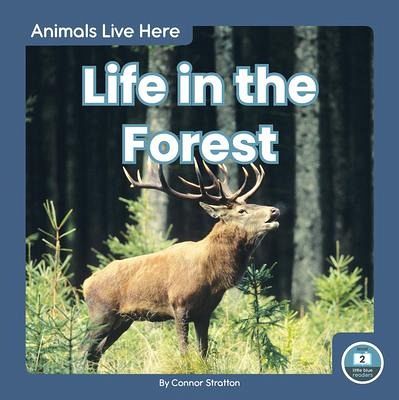 Life in the Forest von Connor Stratton - englisches Buch - bücher.de