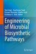 Engineering of Microbial Biosynthetic Pathways - Fachbuch - bücher.de