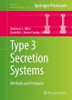 Type 3 Secretion Systems - Fachbuch - bücher.de
