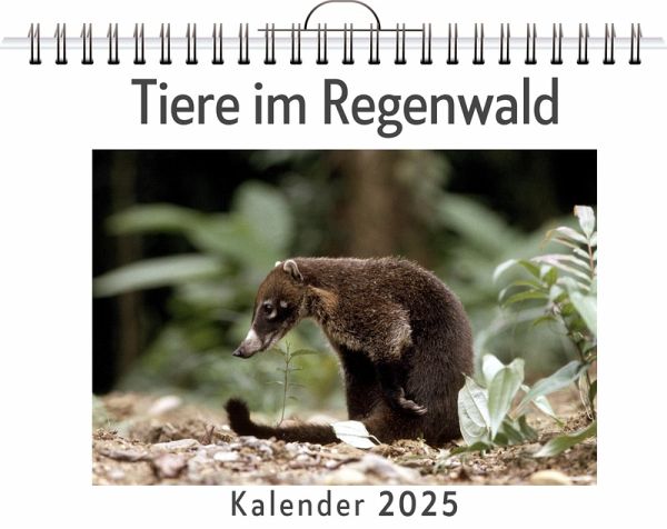 Tiere im Regenwald von Ava Werner - Kalender bei bücher.de bestellen