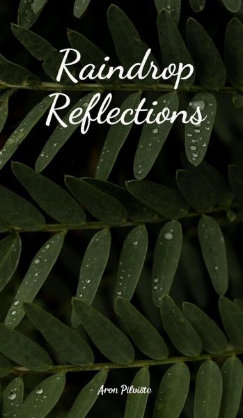 Raindrop Reflections von Aron Pilviste - englisches Buch - bücher.de