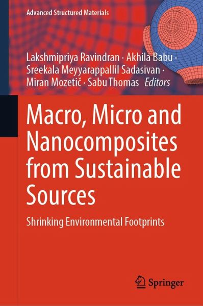 Macro, Micro and Nanocomposites from Sustainable Sources (eBook, PDF ...