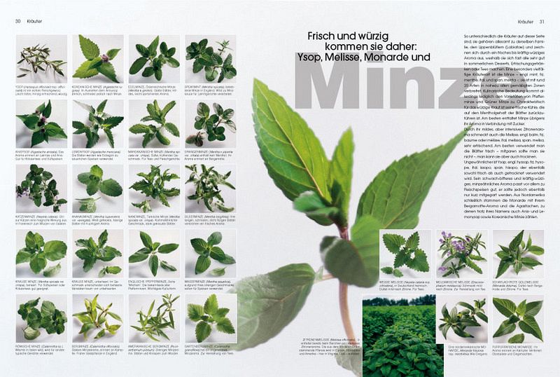 Food von Christian Teubner bei bücher.de bestellen