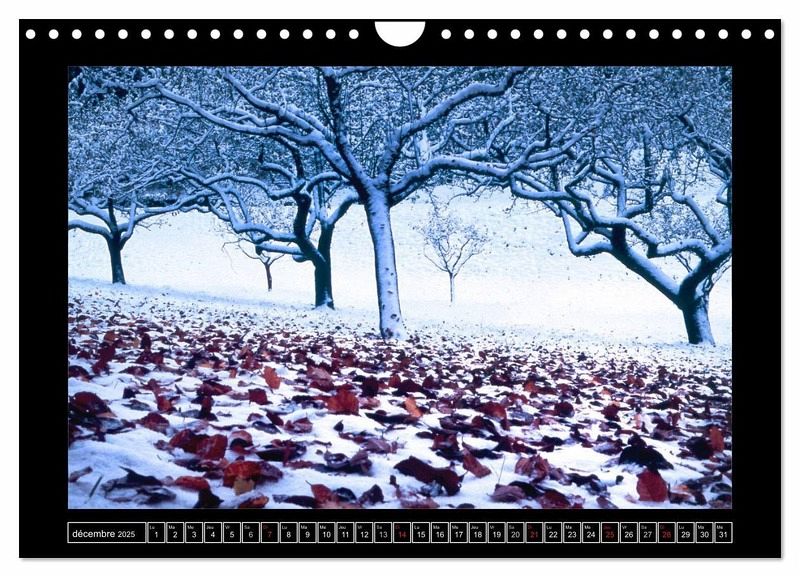 Photographies de Montagne (Calendrier mural 2025 DIN A4 vertical ...