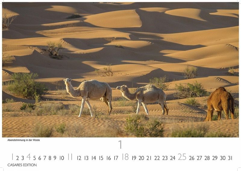 Kalender Tunesien 2026 S 24x35 cm: Hochwertige Fotos, die die Kultur ...